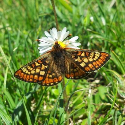 Profiles - Mark Clayden • kimpluscraig.com