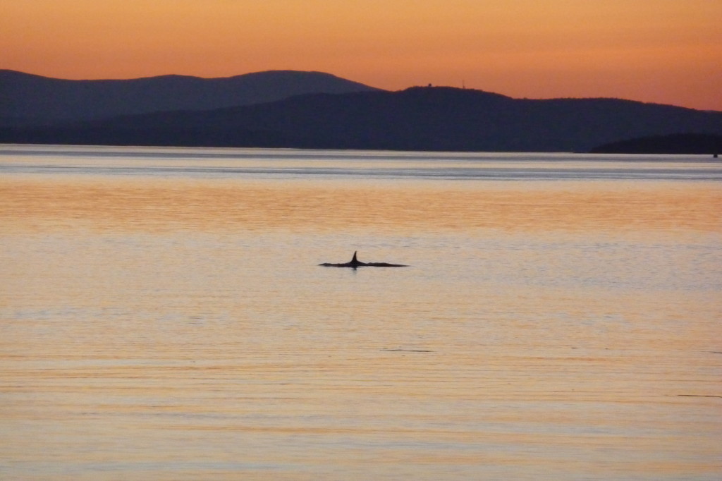 Profiles - Mark Clayden • kimpluscraig.com