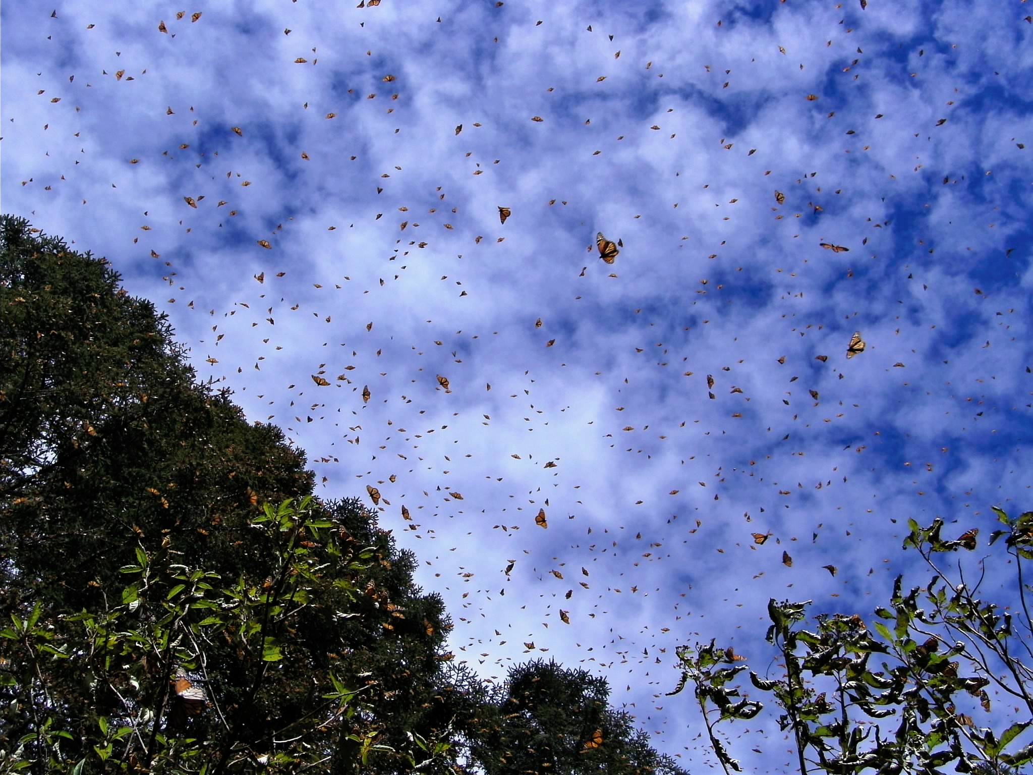 Profiles - Mark Clayden • kimpluscraig.com